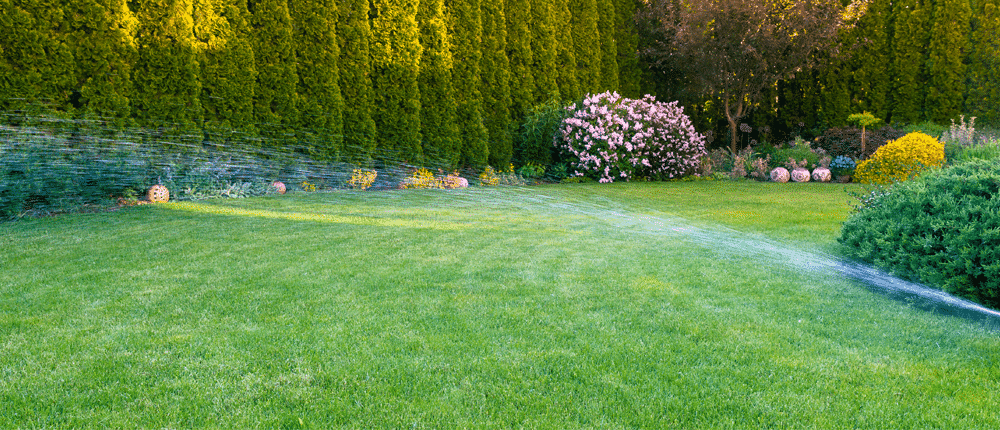 Irrigation Company | Westchester NY | Pro Sprinklers Systems, INC.