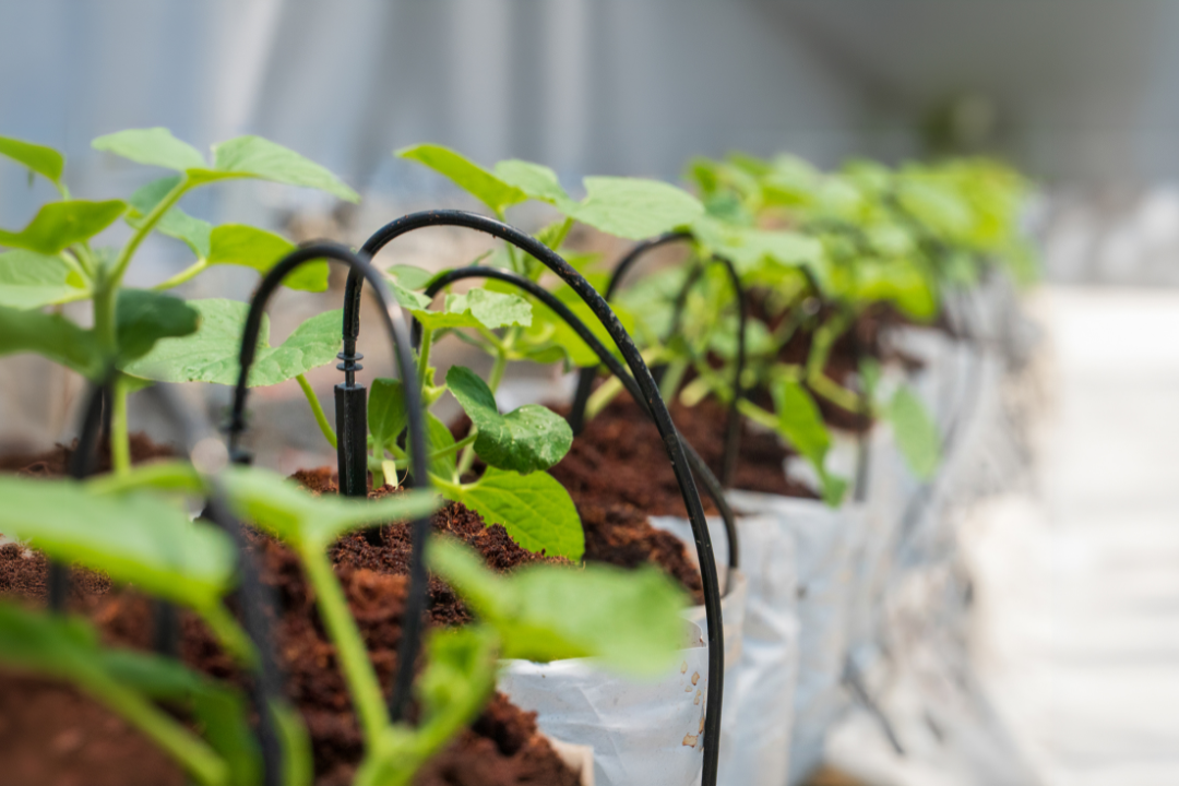How to Get Your Irrigation System Ready for the Growing Season - Pro ...
